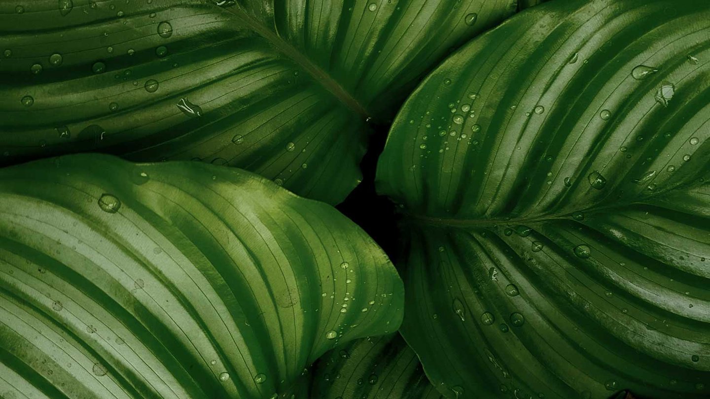 ZWelfare Artemisia: la nuova piattaforma DoubleYou per Flexible Benefit